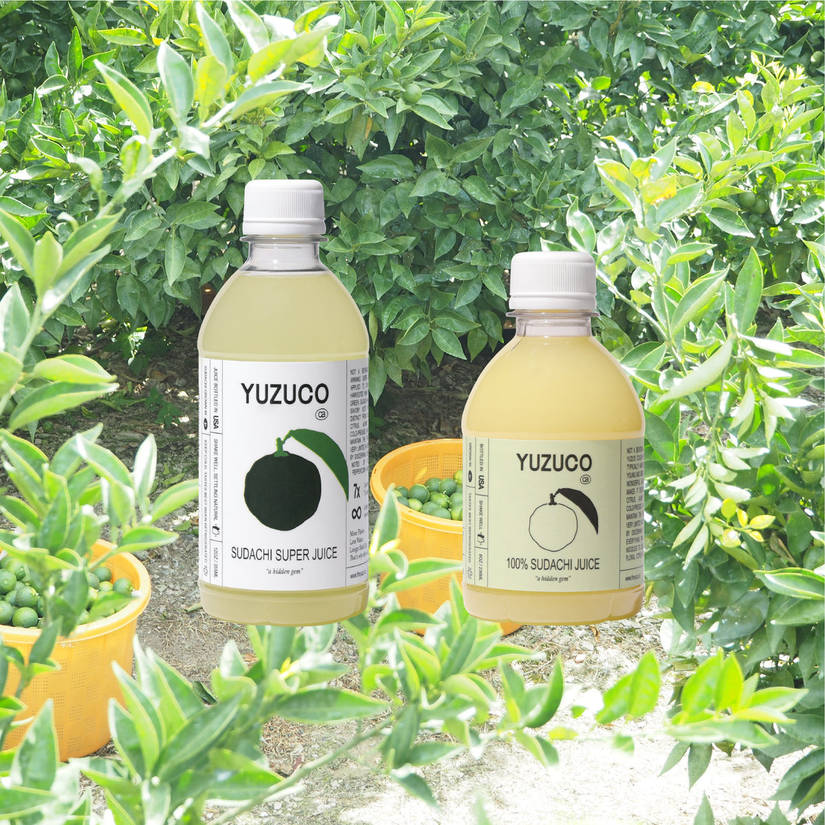 Products | YUZUCO