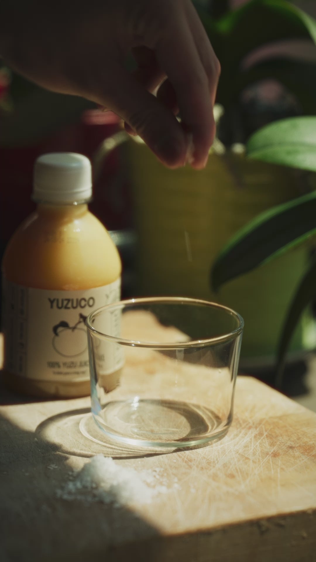 YUZUCO | 100% Yuzu Juice, 8oz